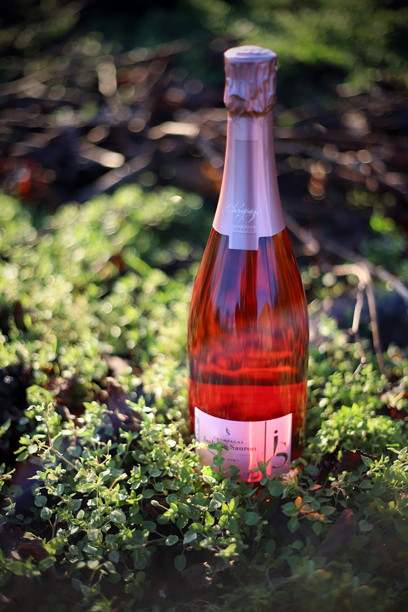 IMG_4213 web – Champagne Isabelle Sauron